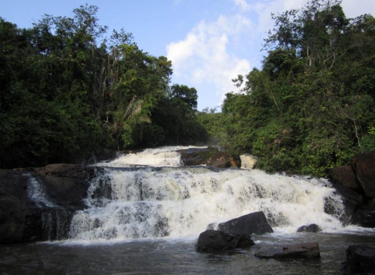Bong County & Maryland County, Liberia - Maryland Sister States